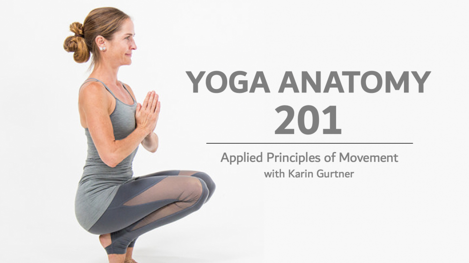 Yoga Anatomy 201